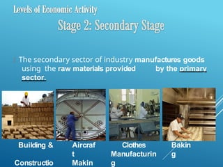 Chapter 2 Classification of Business IGCSE | PPTX