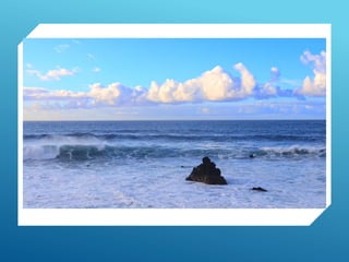 Chapter 2 Classification of Business IGCSE | PPTX