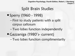 Chapter2cognitiveneuroscience4346 | PPT