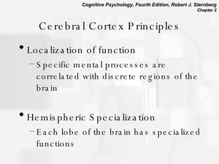 chapter2-Cognitive-Neuroscience | PPT