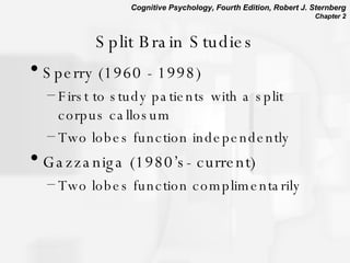 chapter2-Cognitive-Neuroscience | PPT