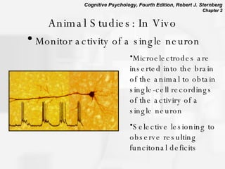 chapter2-Cognitive-Neuroscience | PPT