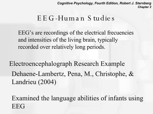 Chapter2 Cognitive Neuroscience Ppt Brain And Nervous System