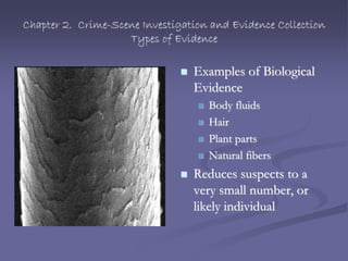 Chapter 2 Crime Scene Investigation | PPTX