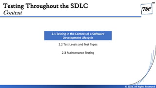 Chapter 2 - Testing Throughout SDLC V4.0 | PDF