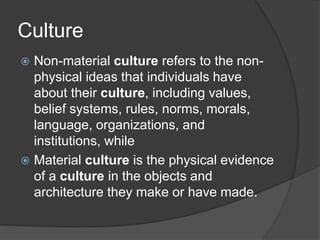 Chapter 2 culture | PPTX
