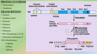 Chapter 2 dna metabolism | PPTX