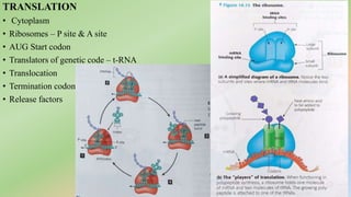Chapter 2 dna metabolism | PPTX