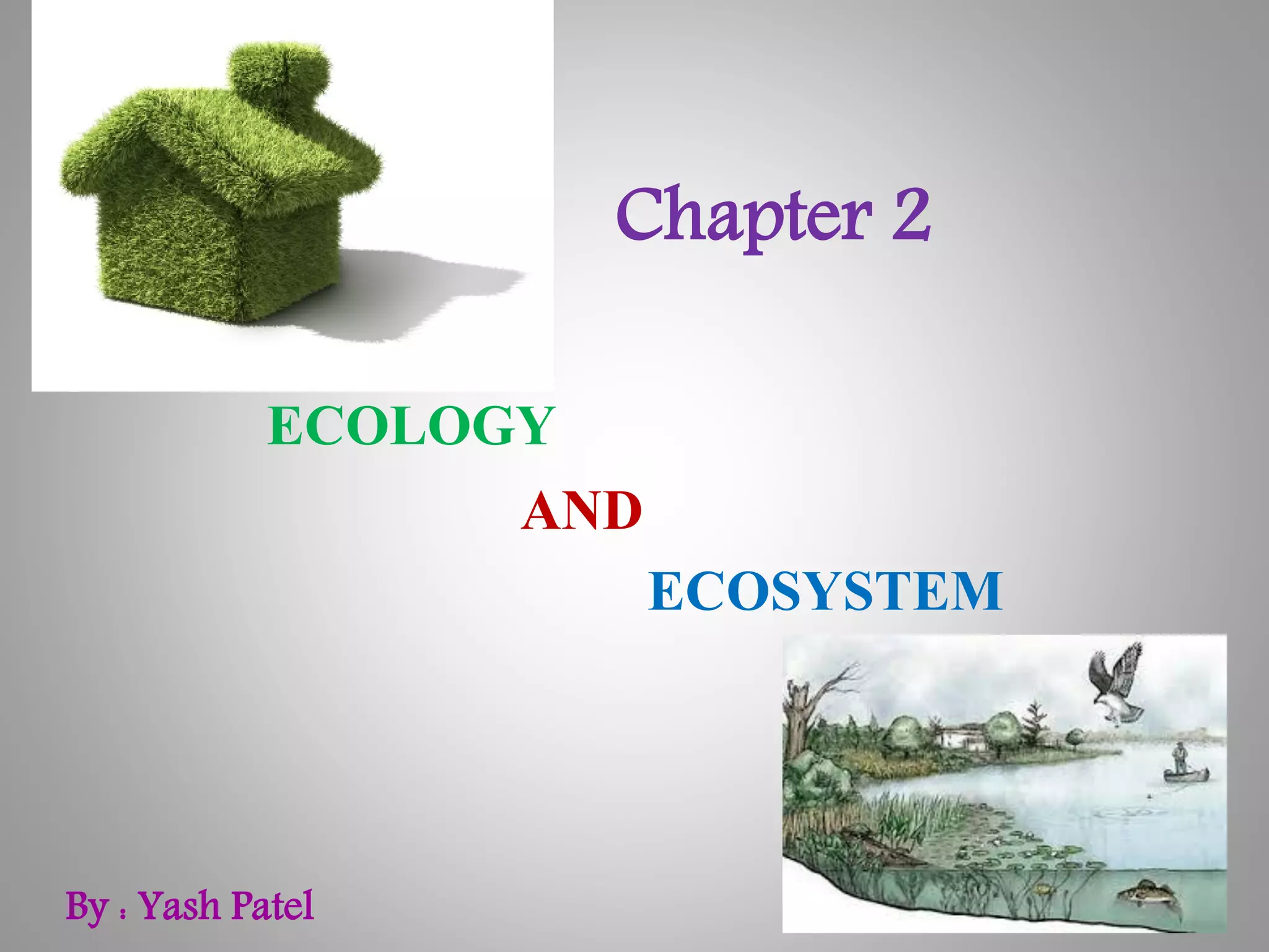 Ecology and Ecosystem | PDF