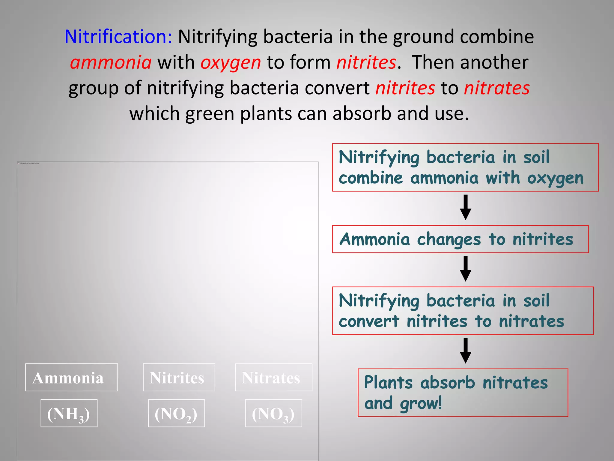 Ecology and Ecosystem | PDF