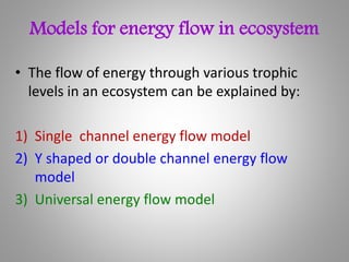 Ecology and Ecosystem | PDF