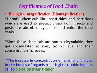 Ecology and Ecosystem | PDF