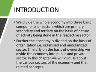 Chapter - 2, Sectors of the Indian Economy, Economics, Social Science ...
