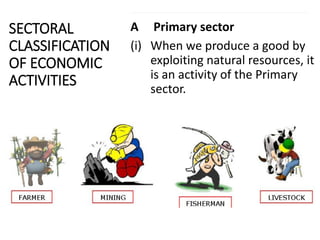 Chapter - 2, Sectors of the Indian Economy, Economics, Social Science ...