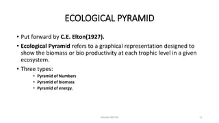 Chapter 2 ecosystem | PPTX