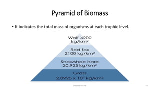 Chapter 2 ecosystem | PPTX