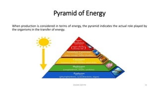 Chapter 2 ecosystem | PPTX