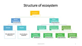 Chapter 2 ecosystem | PPTX | Geology | Science