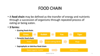 Chapter 2 ecosystem | PPTX | Geology | Science