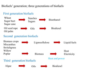 Comprehensive Overview of Renewable Energy Resources and Their Impact | PDF