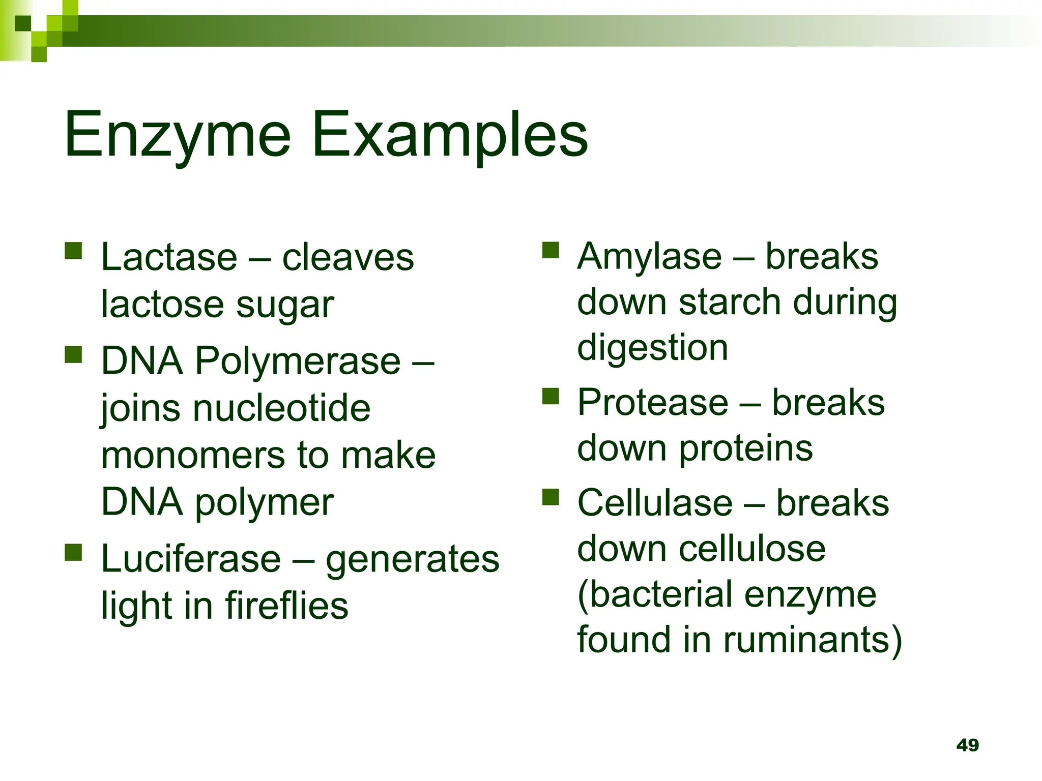 Plant Physiology: Ch.2 Energy and Enzymes.ppt