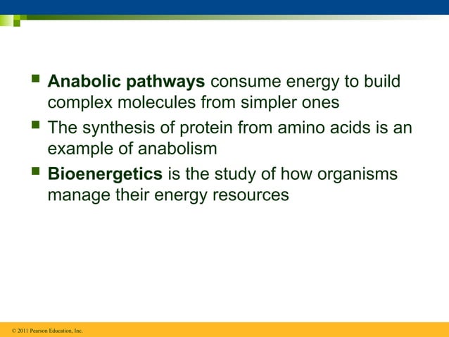 Plant Physiology: Ch.2 Energy and Enzymes.ppt