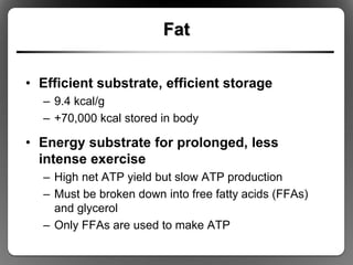 Chapter 2 Energy Systems.ppt