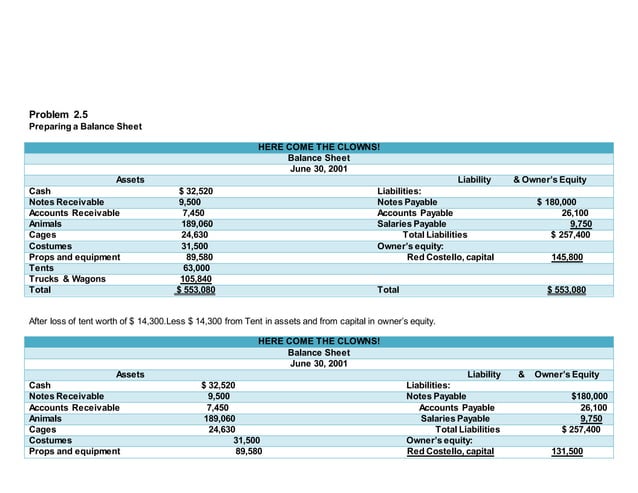 Chapter 2 Basic Financial Statements exercise and solutions | DOCX