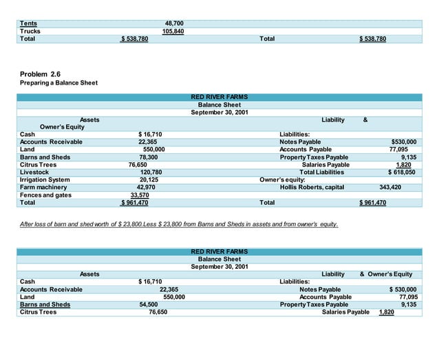 Chapter 2 Basic Financial Statements exercise and solutions | DOCX