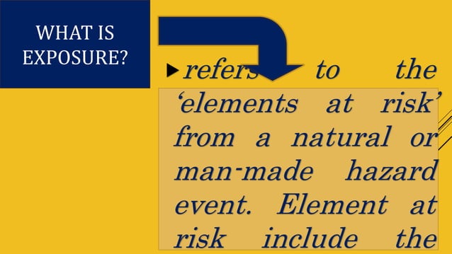 Chapter 2 (exposure & vulnerability) | PPTX