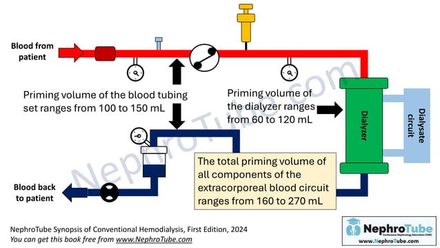 Hemodialysis: Chapter 2, Extracorporeal Blood Circuit - Dr.Gawad | PDF