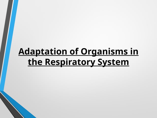 RESPIRATION FORM 3 2023 CHAPTER 2_F3.pptx