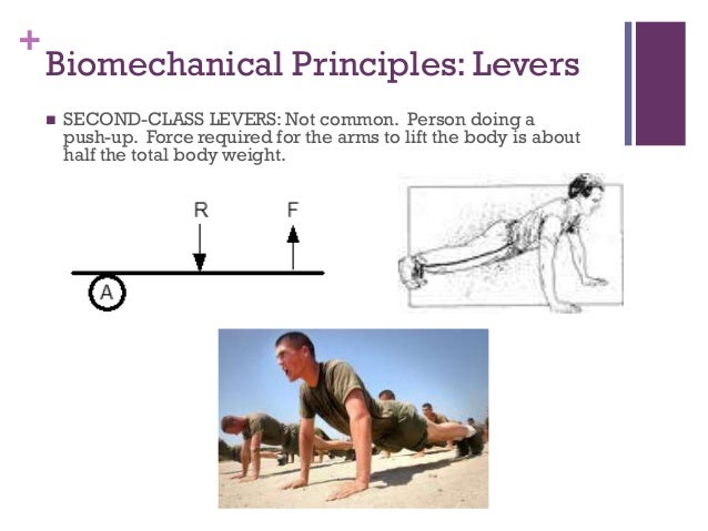 Chapter 2 fitness 4 life middle
