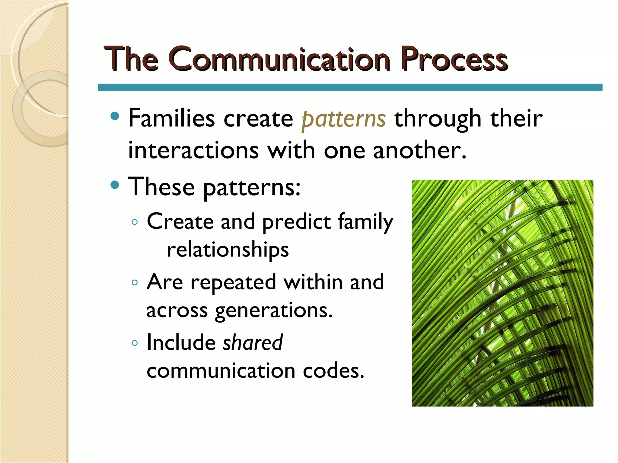 Chapter 2: Family Meanings & Messages | PPT
