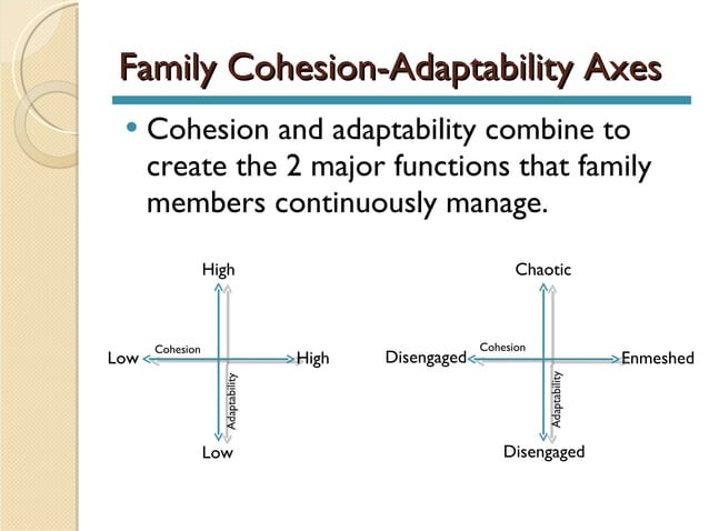 Chapter 2: Family Meanings & Messages | PPT | Parenting Babies and ...