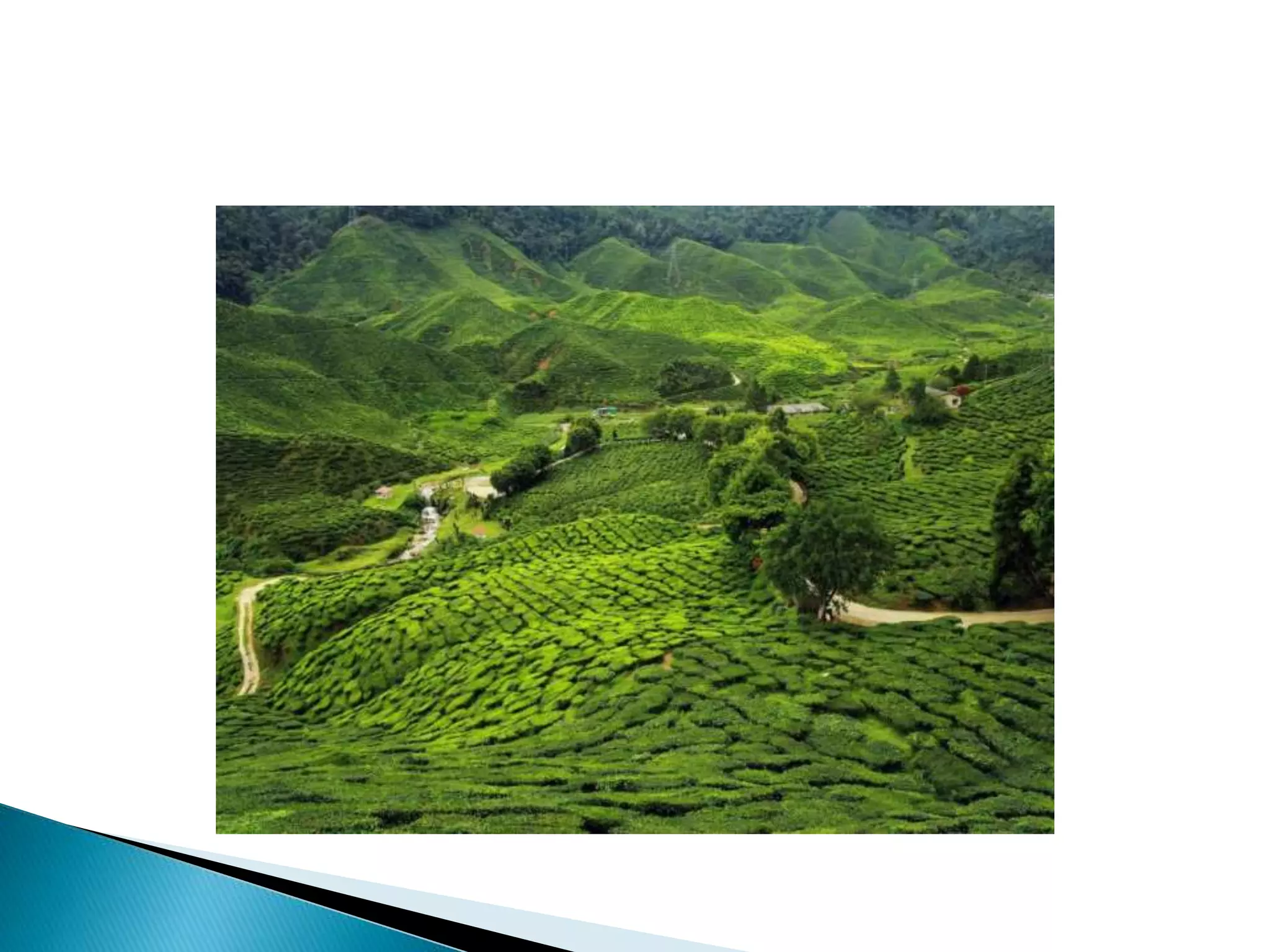 CHAPTER 2 GEOGRAPHY.pptx