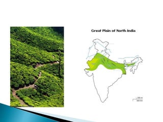 CHAPTER 2 GEOGRAPHY.pptx