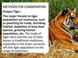 Chapter - 2, Forest and Wildlife Resources, Geography, Social Science ...