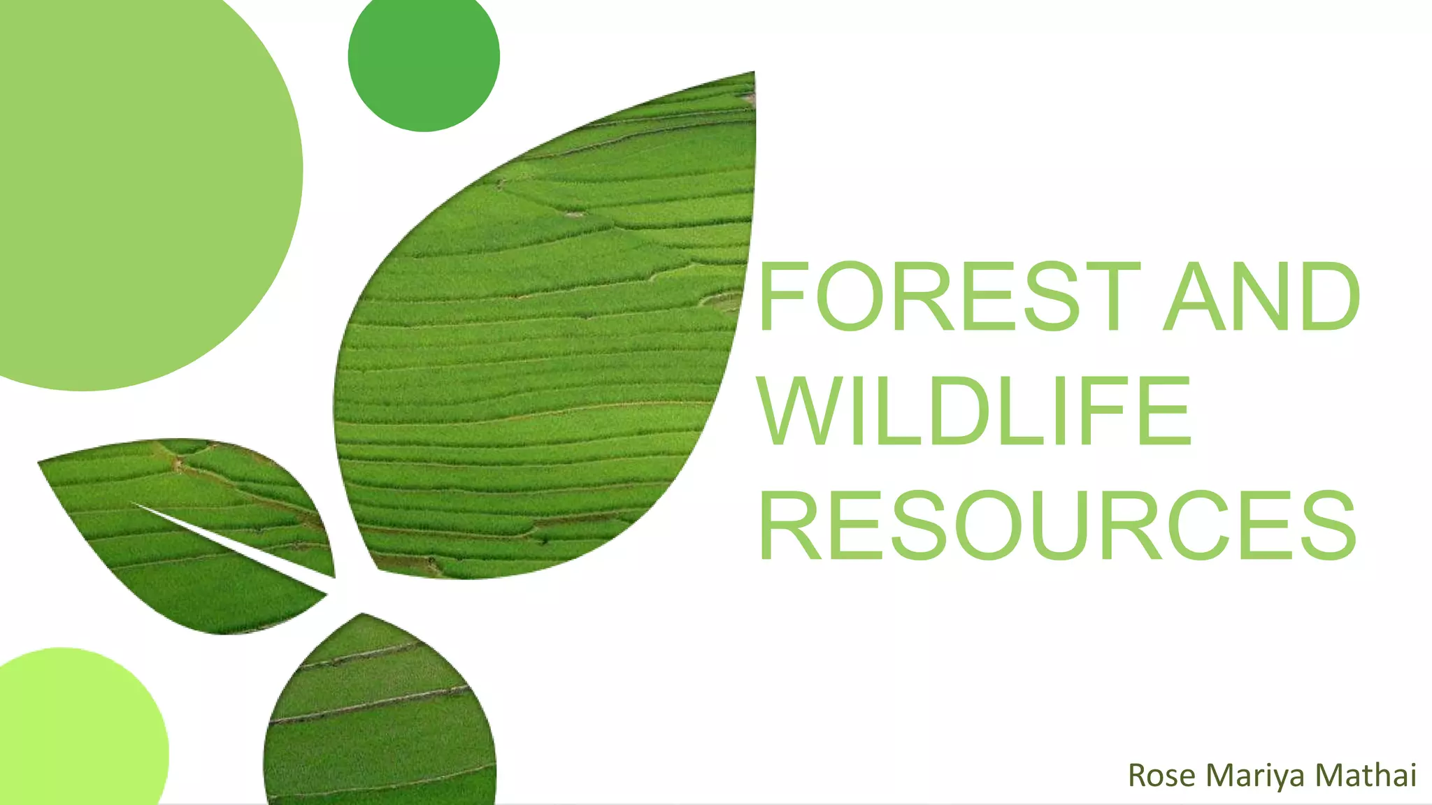Chapter 2 geography forest and wildlife | PPTX