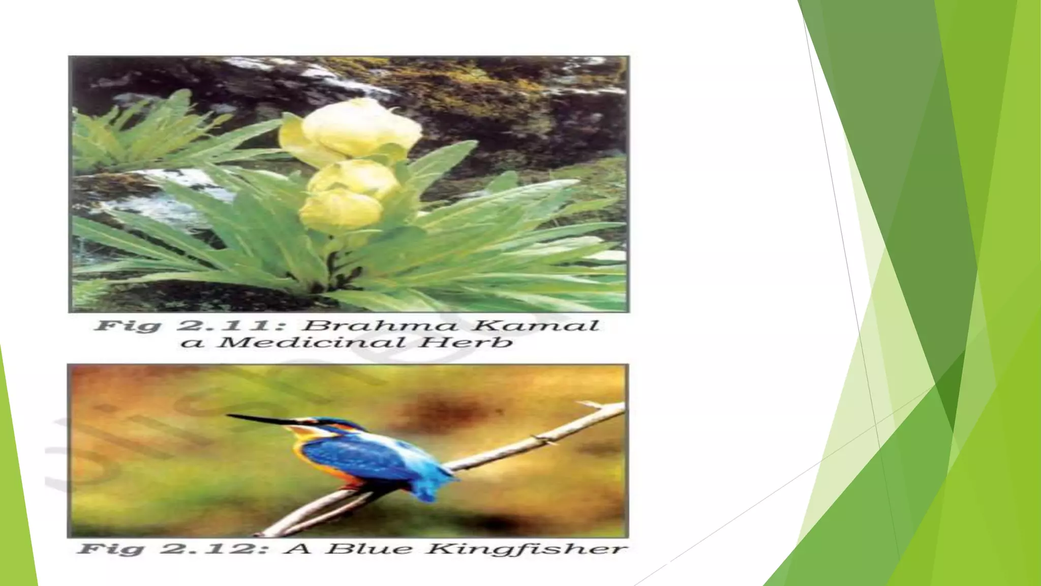 chapter 2 geograpy class 8 | PPTX