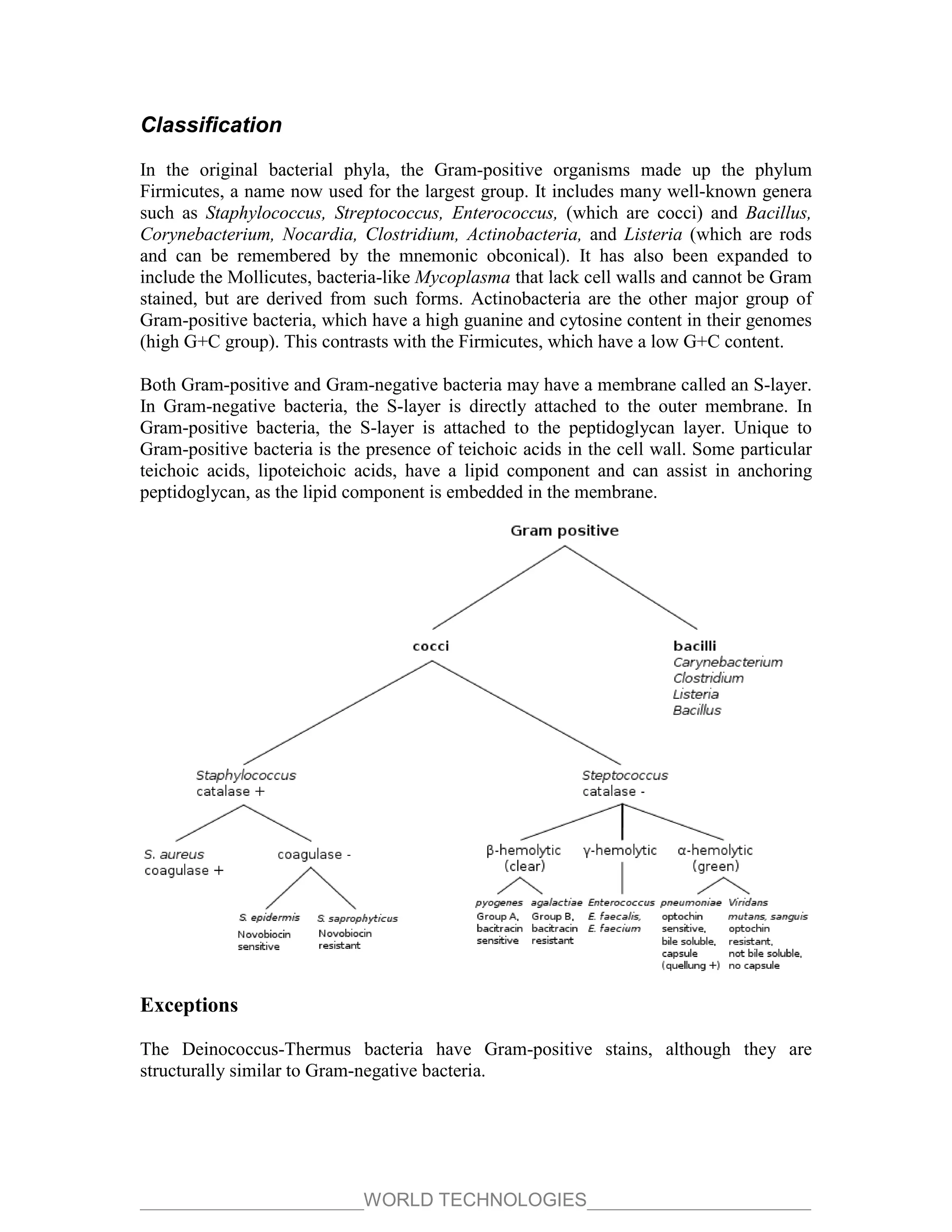 Chapter 2 Gram-Negative Bacteria and Gram-Positive Bacteria Gram ...