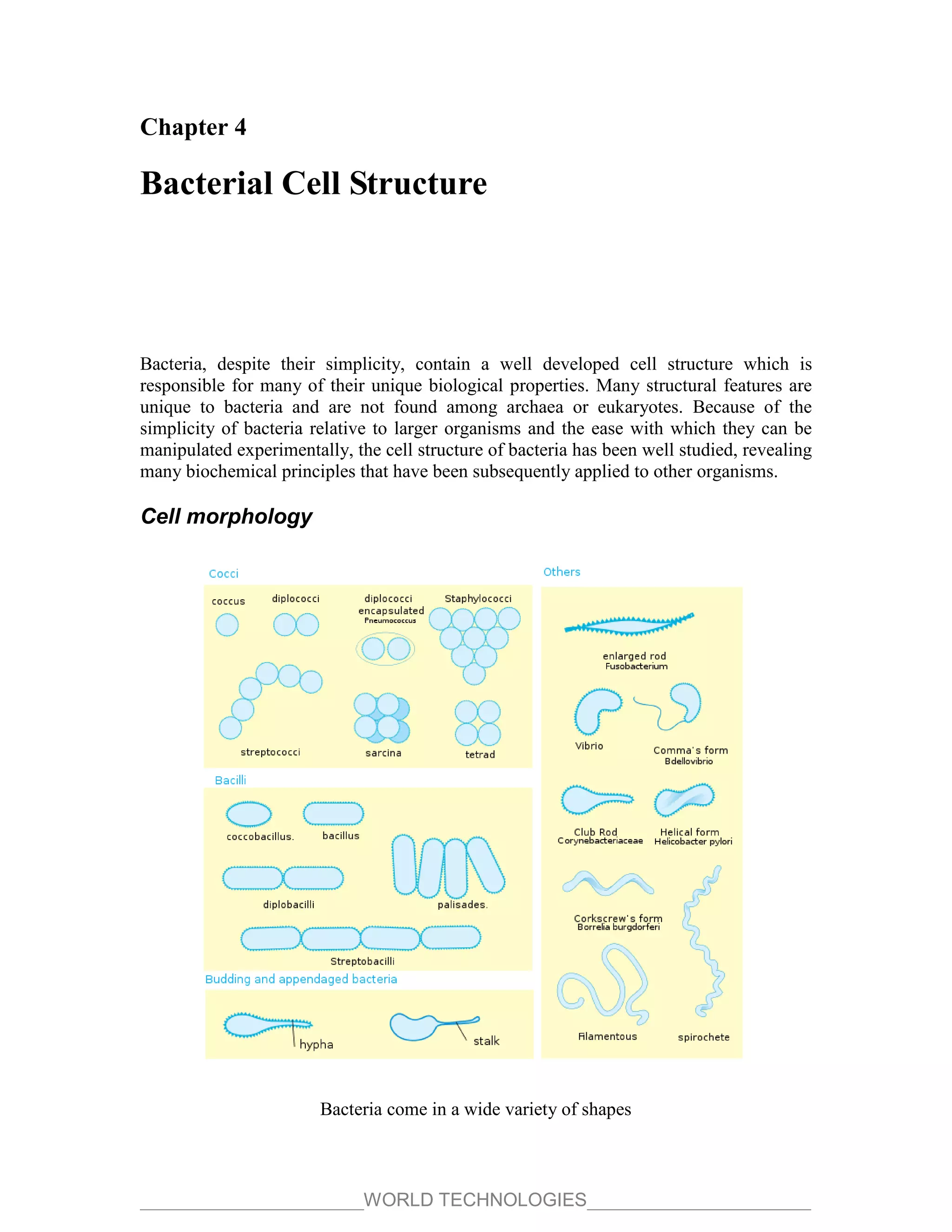 Chapter 2 Gram-Negative Bacteria and Gram-Positive Bacteria Gram-negative bacteria ( PDFDrive ).pdf
