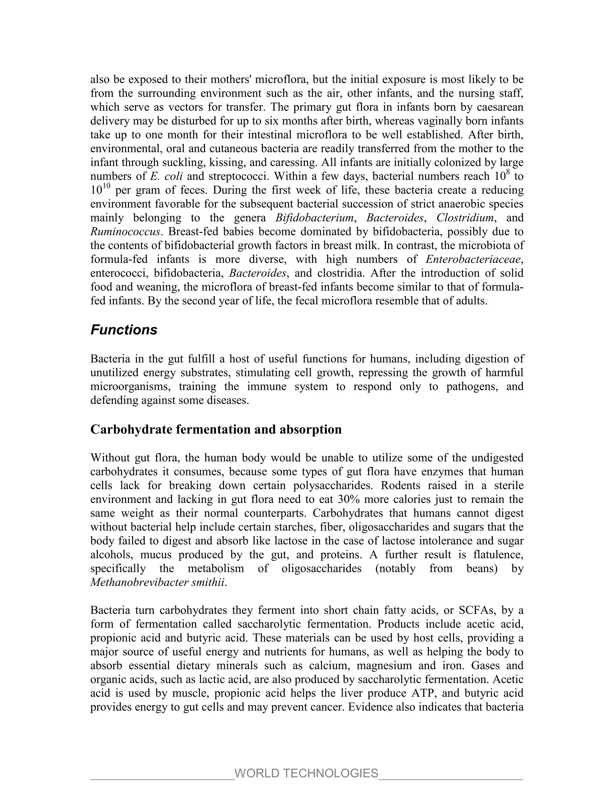 Chapter 2 Gram-Negative Bacteria and Gram-Positive Bacteria Gram ...