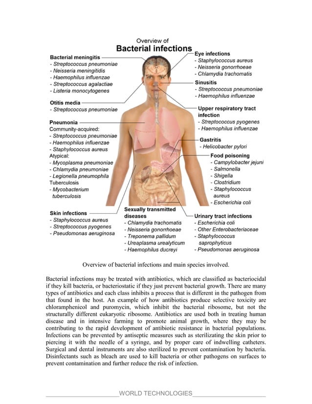 Chapter 2 Gram-Negative Bacteria and Gram-Positive Bacteria Gram-negative bacteria ( PDFDrive ).pdf