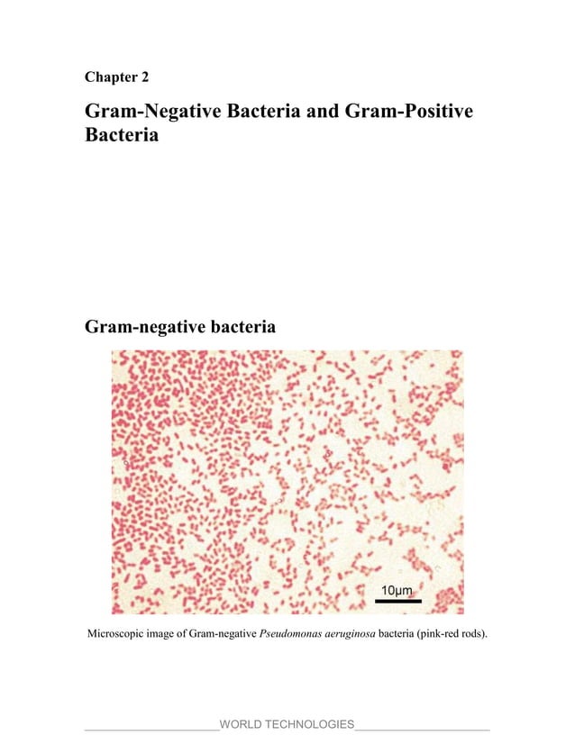 Chapter 2 Gram-Negative Bacteria and Gram-Positive Bacteria Gram ...
