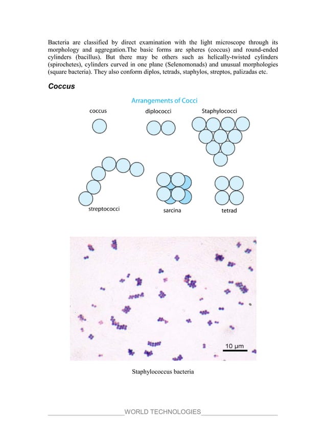 Chapter 2 Gram-Negative Bacteria and Gram-Positive Bacteria Gram-negative bacteria ( PDFDrive ).pdf