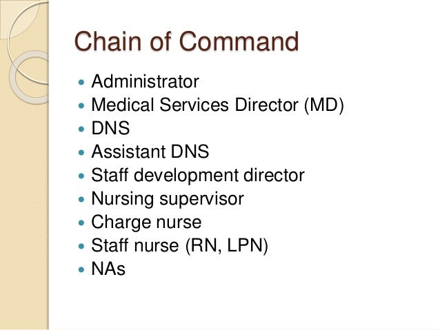 Chapter 2 health care team