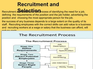 chapter 2 Human resource Procurement (1).pptx