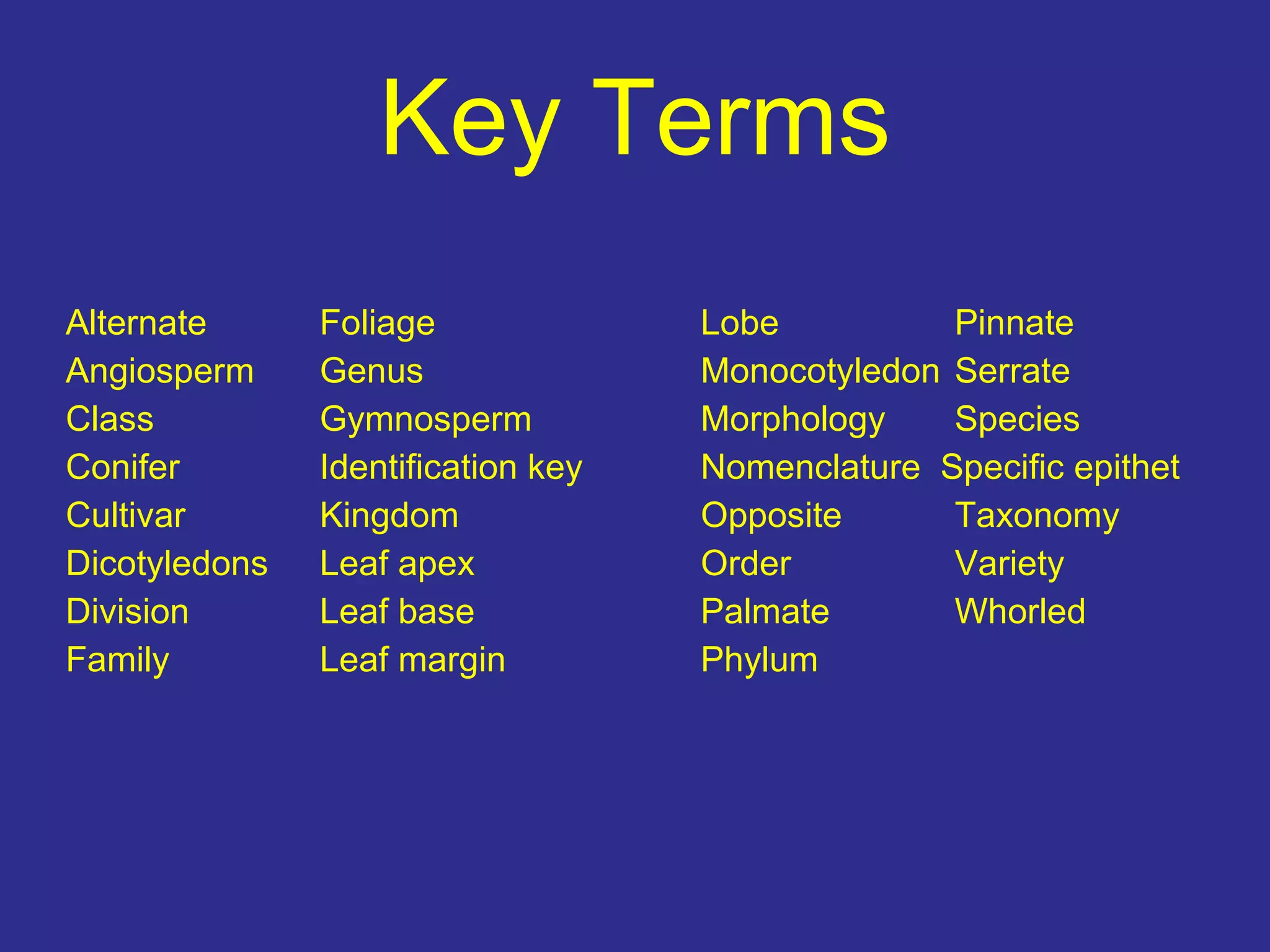 Chapter 2 identification | PPT
