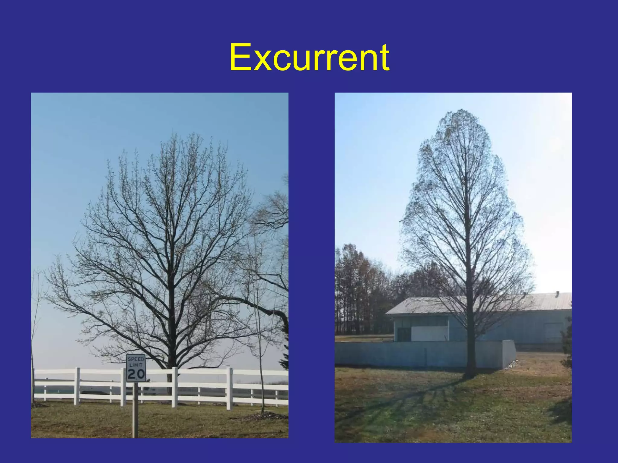 Chapter 2 identification | PPT